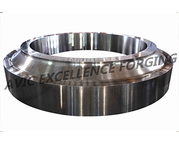 EXCELLENCE FORGING TECHNOLOGY(WUXI)CO.,LTD-Stator Frame